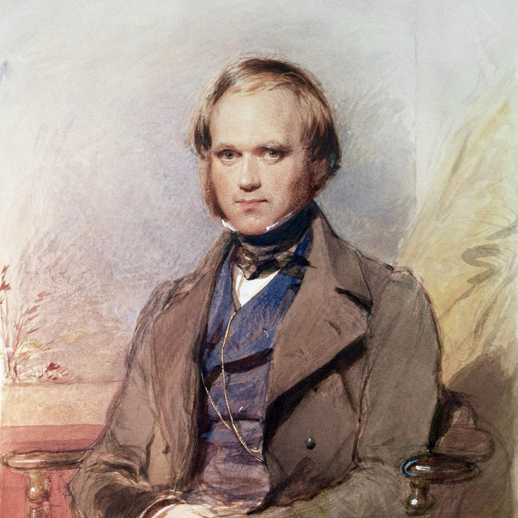 Picture of Charles Darwin