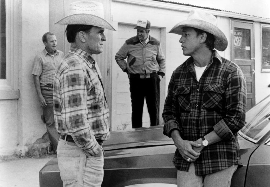 Picture of The Stone Boy (1984)