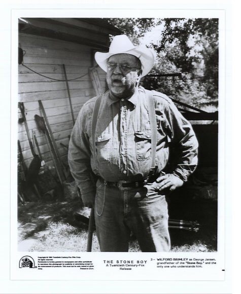 Picture of The Stone Boy (1984)