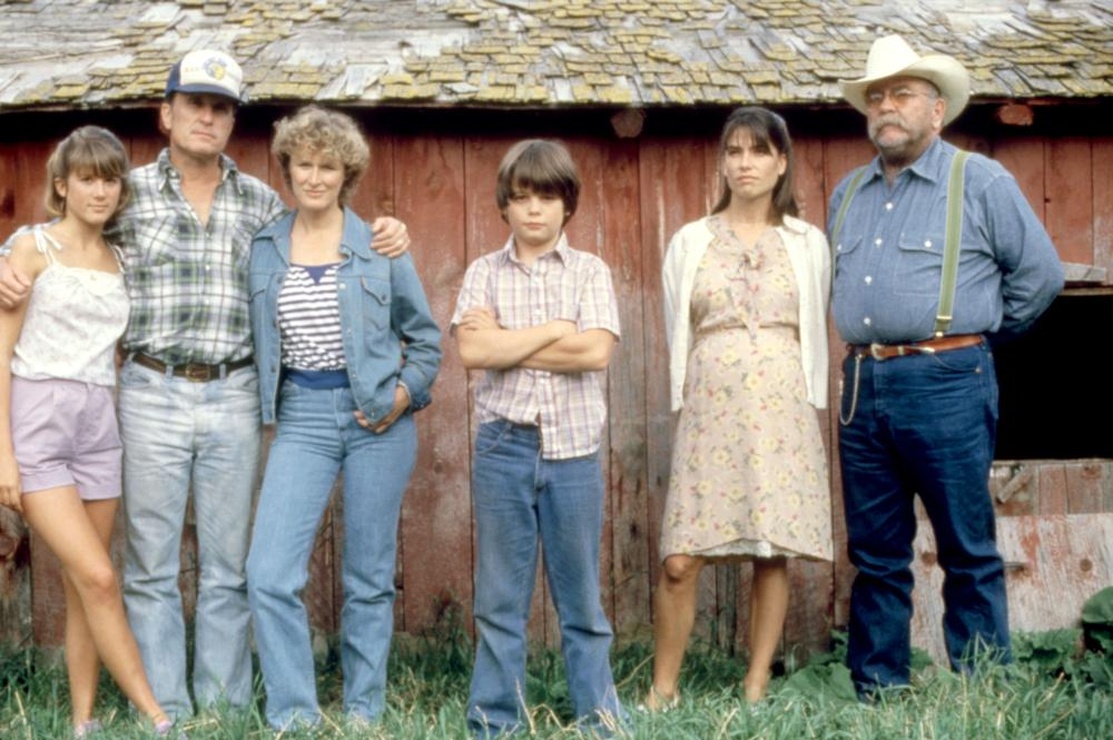 Picture of The Stone Boy (1984)