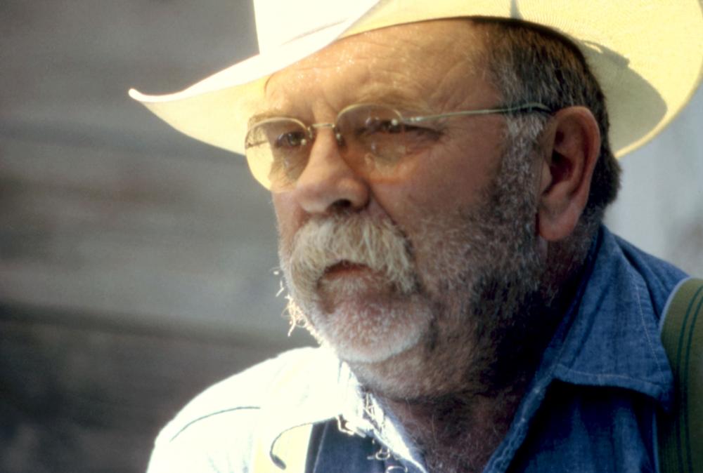 Picture of The Stone Boy (1984)