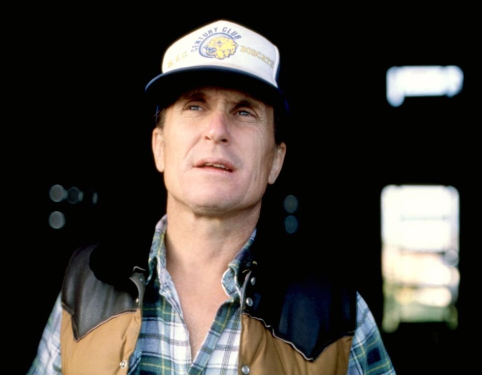 Picture of The Stone Boy (1984)