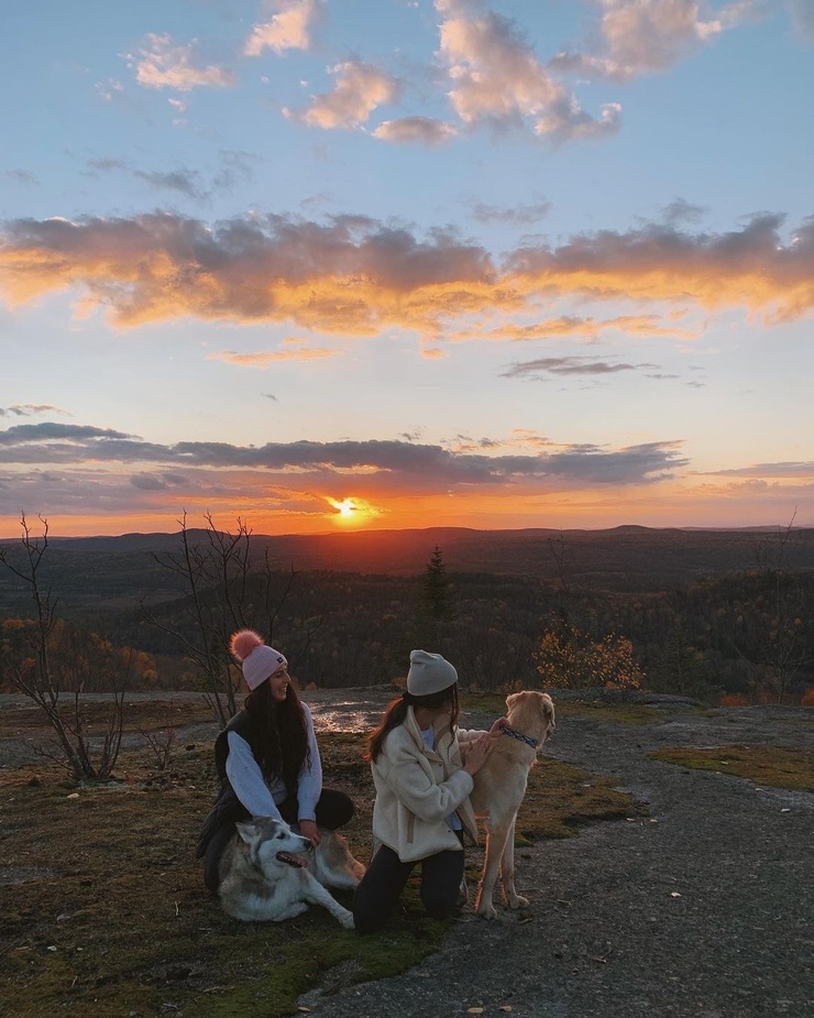 Frédérique Bélanger image
