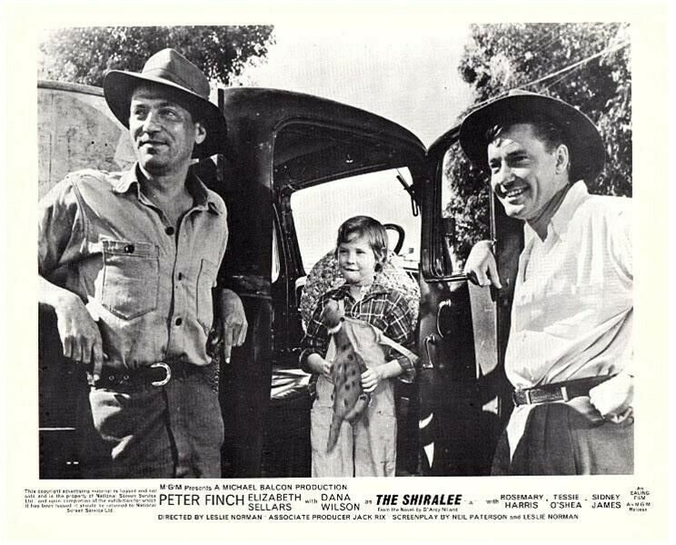 Picture of The Shiralee