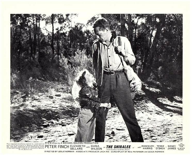 Picture of The Shiralee