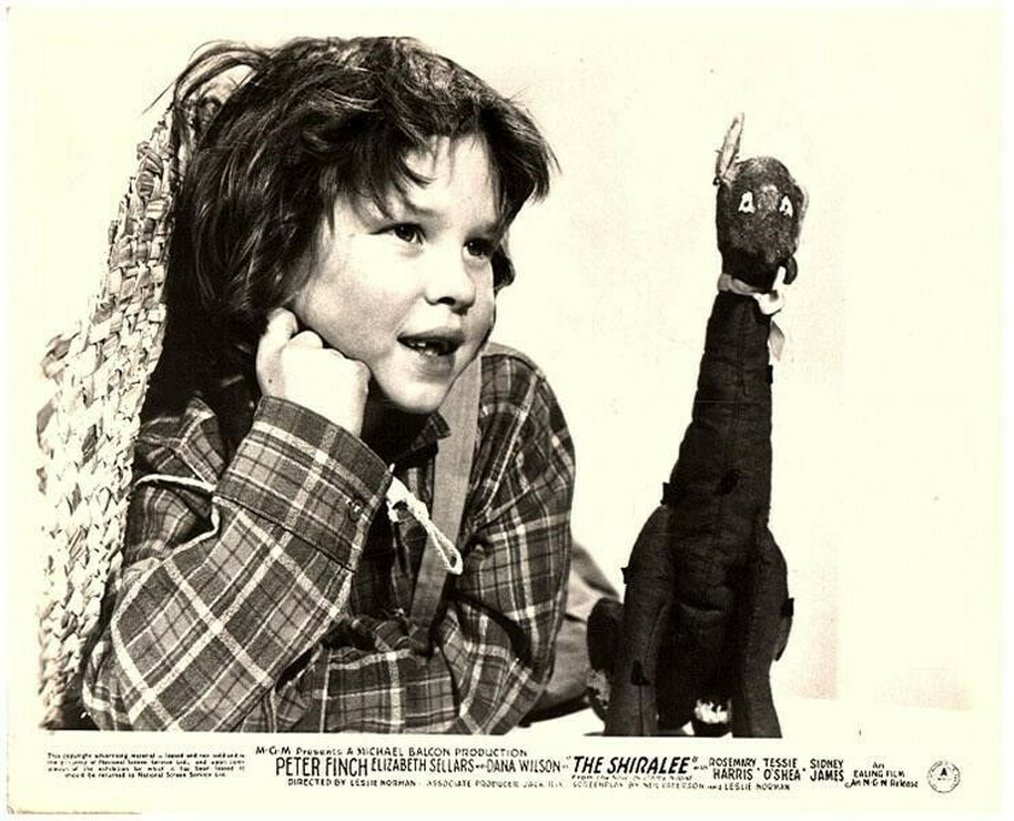 Picture of The Shiralee