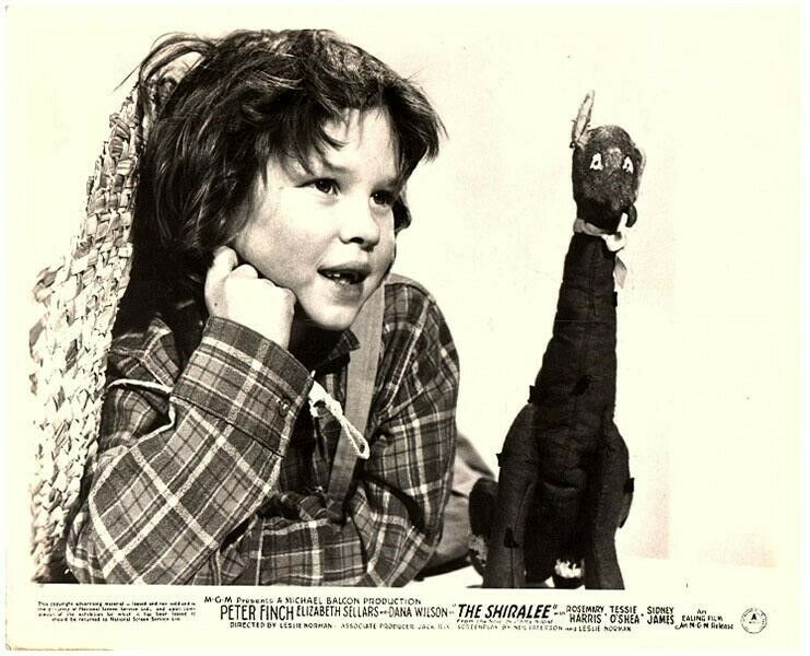 Picture of The Shiralee