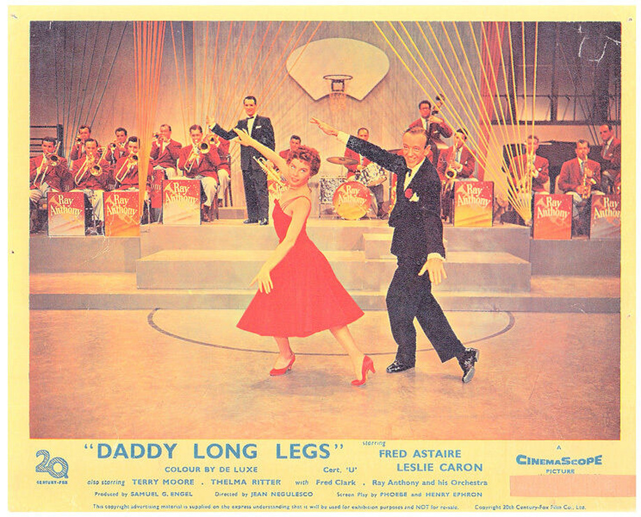 Picture of Daddy Long Legs