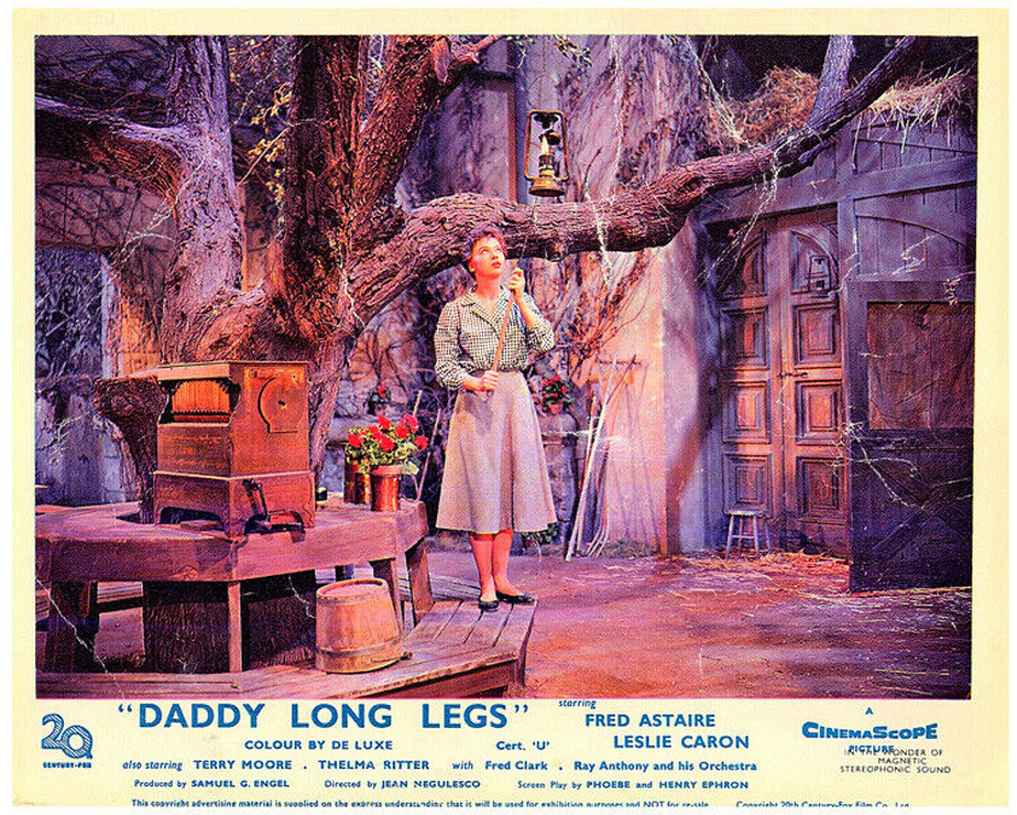 Picture of Daddy Long Legs