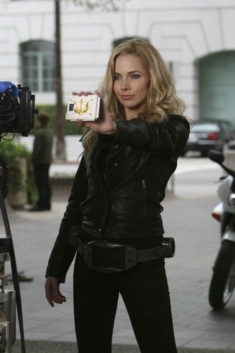 Picture of Kase (Kamen Rider Dragon Knight)