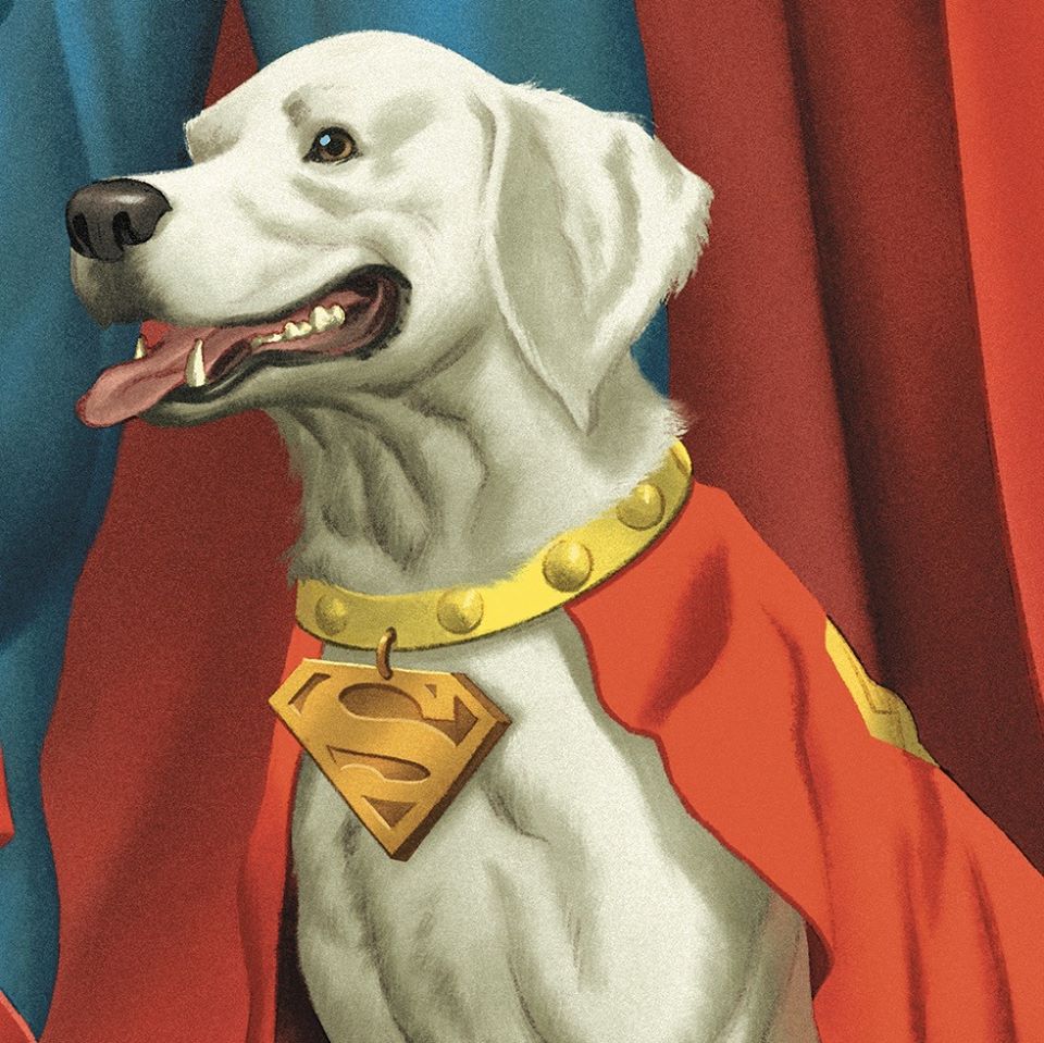 Picture of Krypto