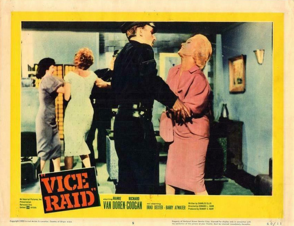 Picture of Vice Raid