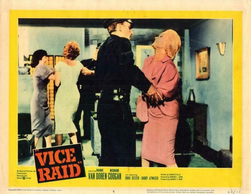 Picture of Vice Raid