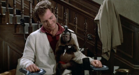 Picture of Monkey Shines