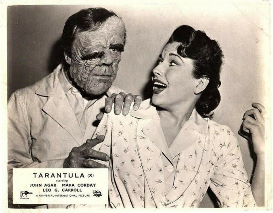 Picture of Tarantula