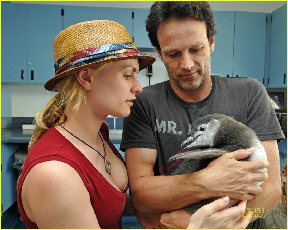 Picture of Stephen Moyer