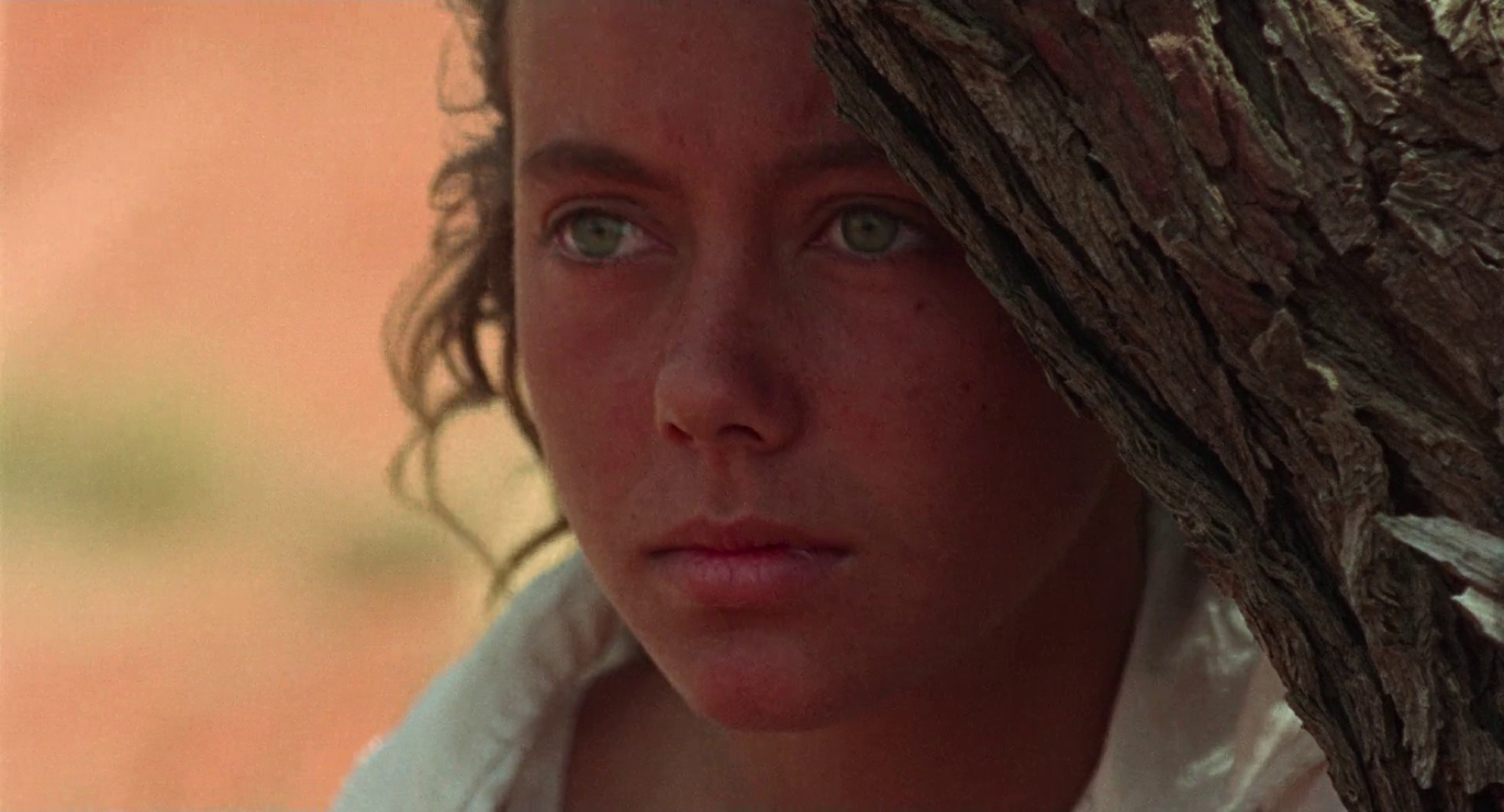 Picture of Walkabout