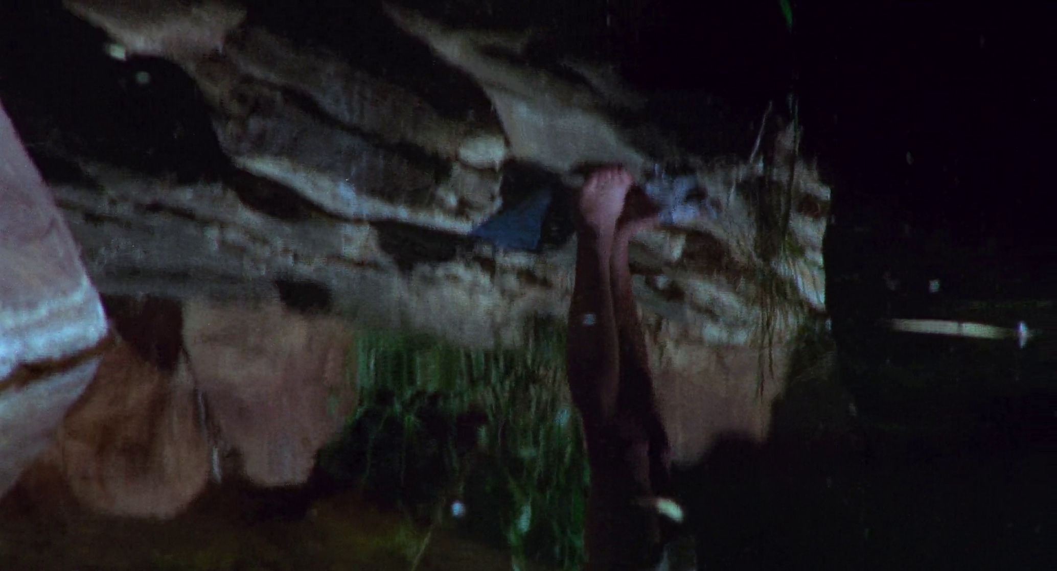 Picture of Walkabout