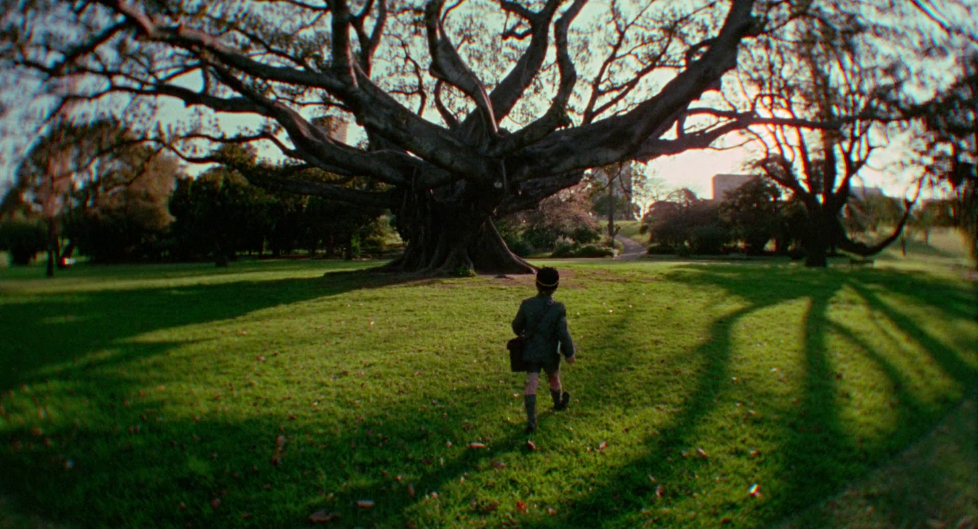 Picture of Walkabout