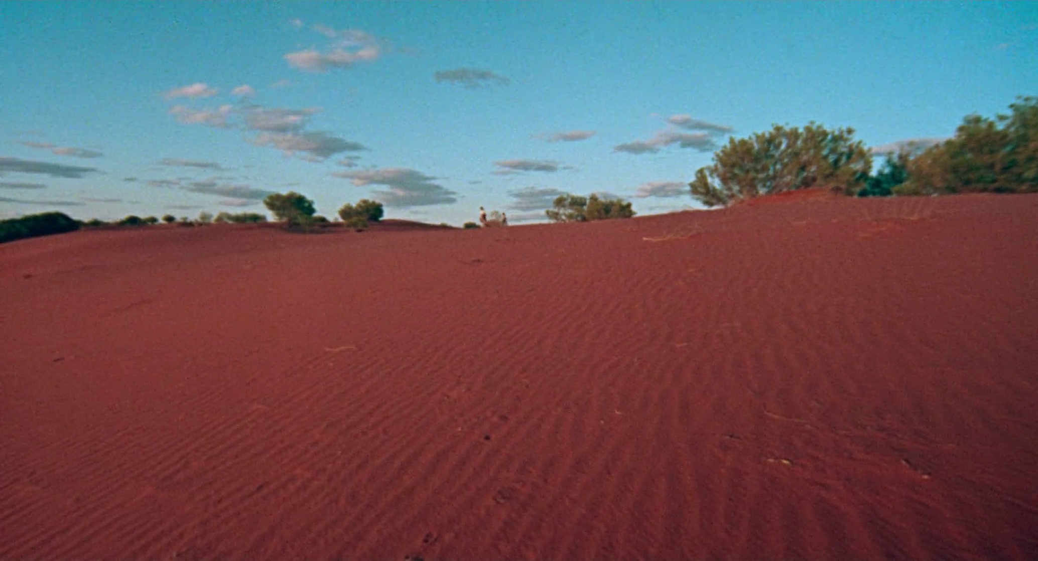 Picture of Walkabout