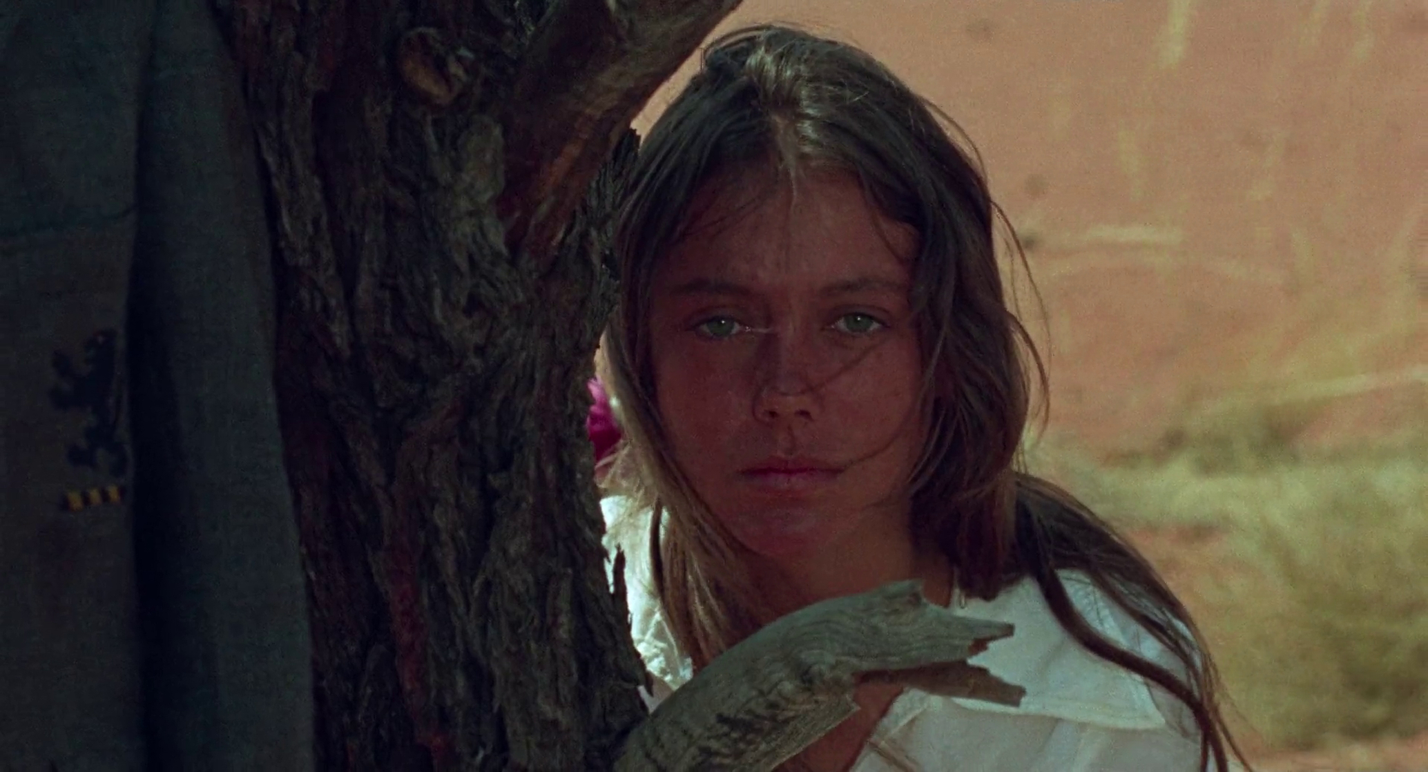 Picture of Walkabout (1971)