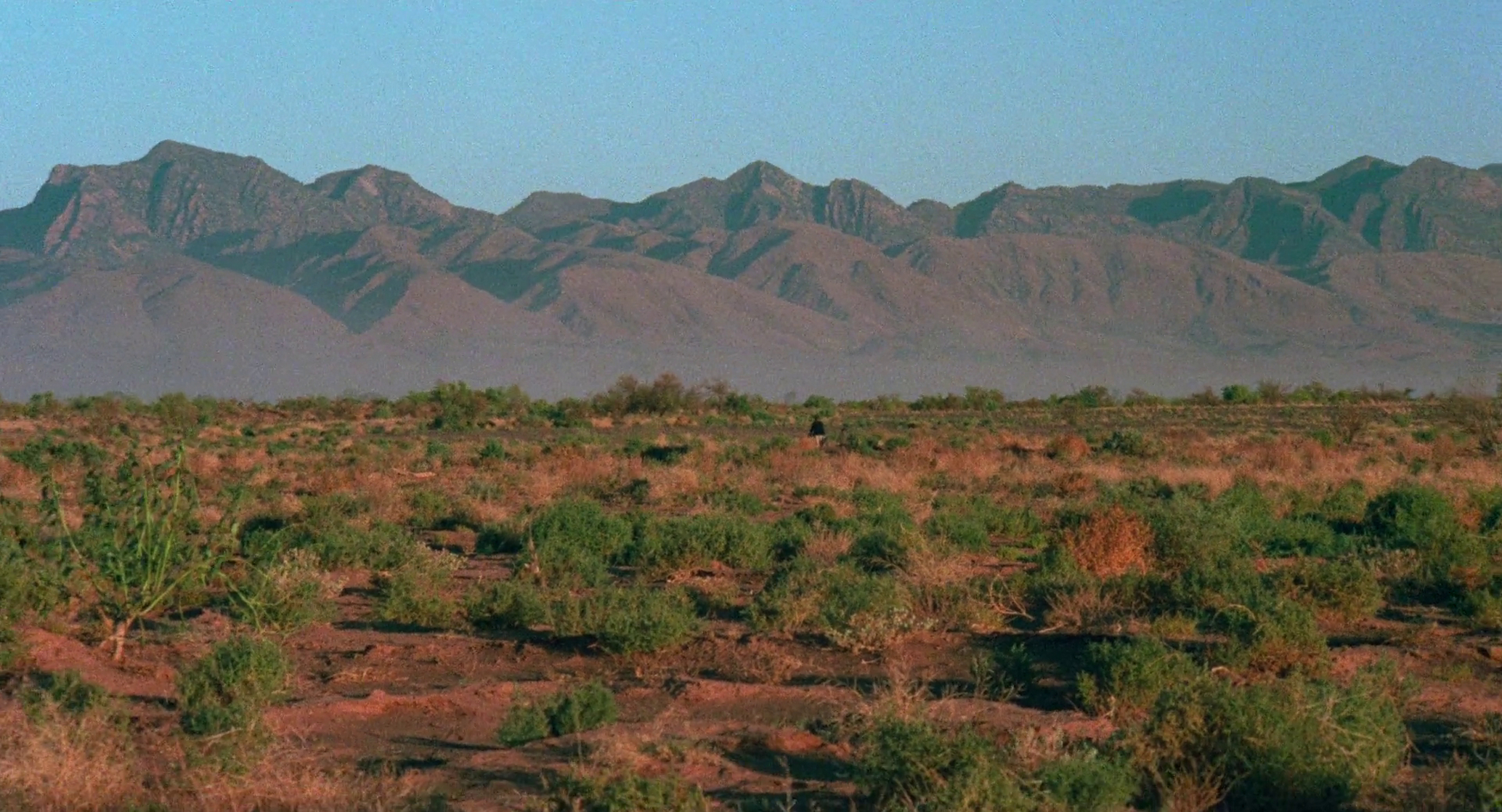 Picture of Walkabout
