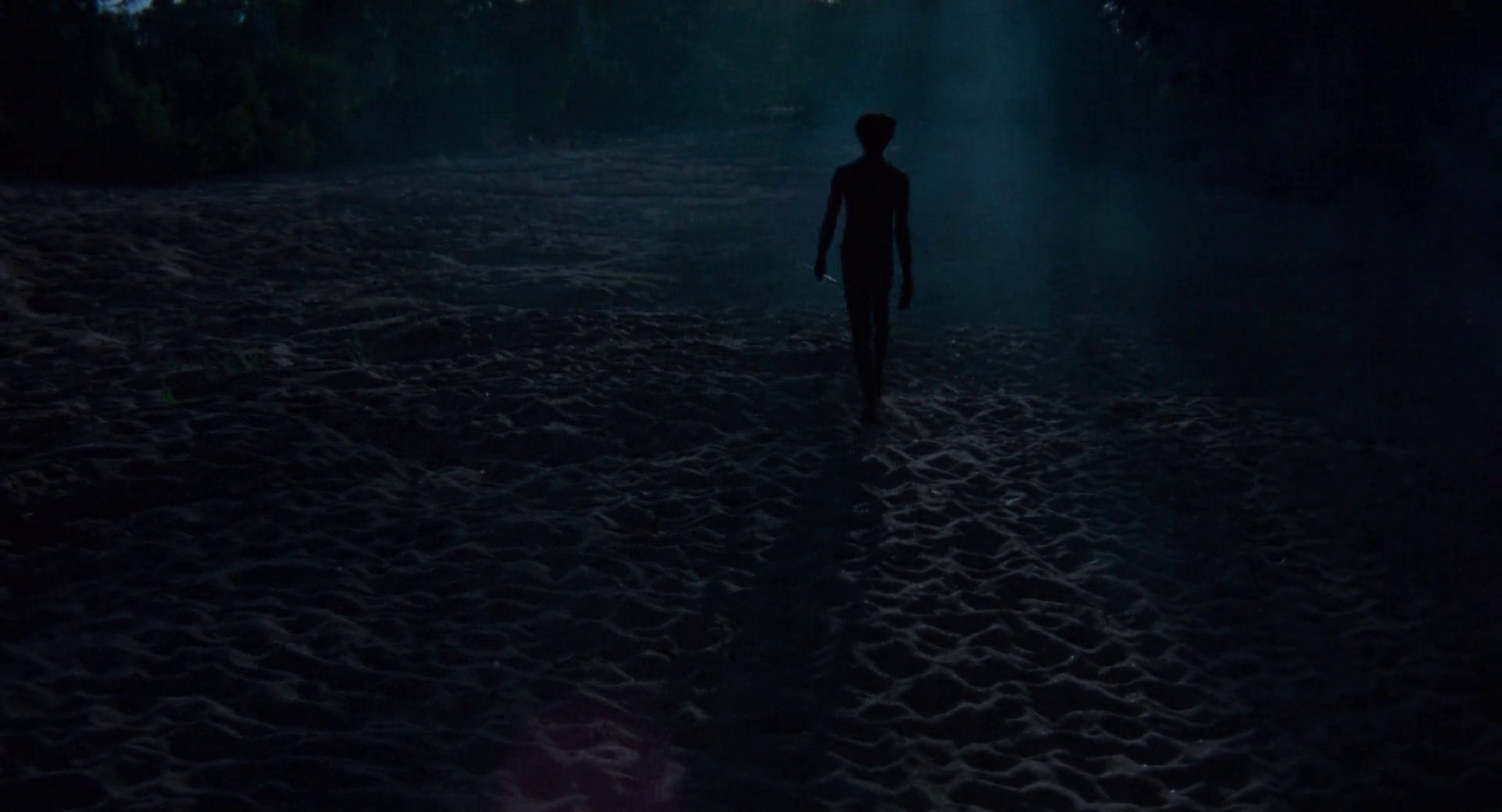 Picture of Walkabout