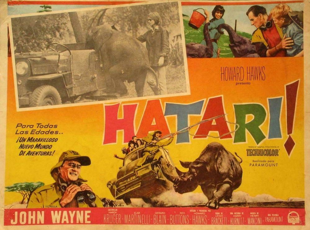 Picture of Hatari!