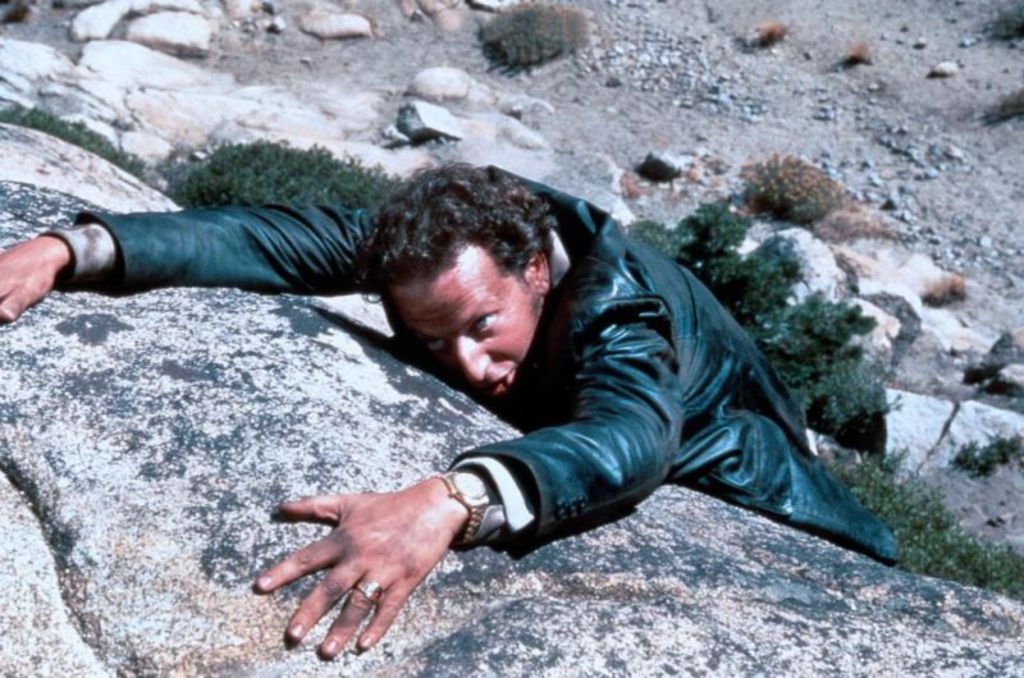 Picture of Bushwhacked