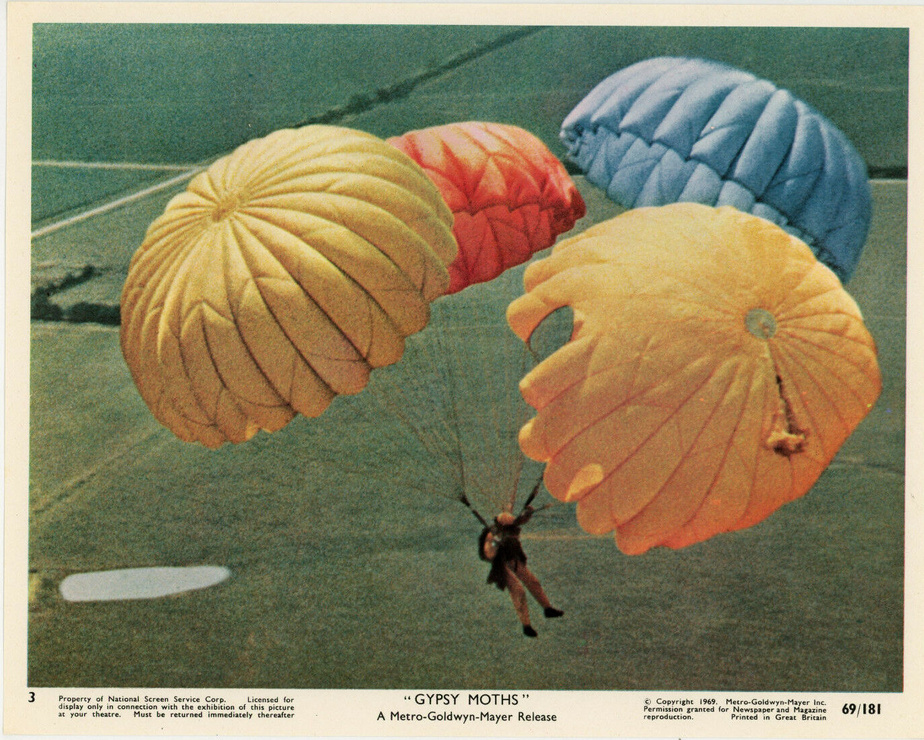 Picture of The Gypsy Moths