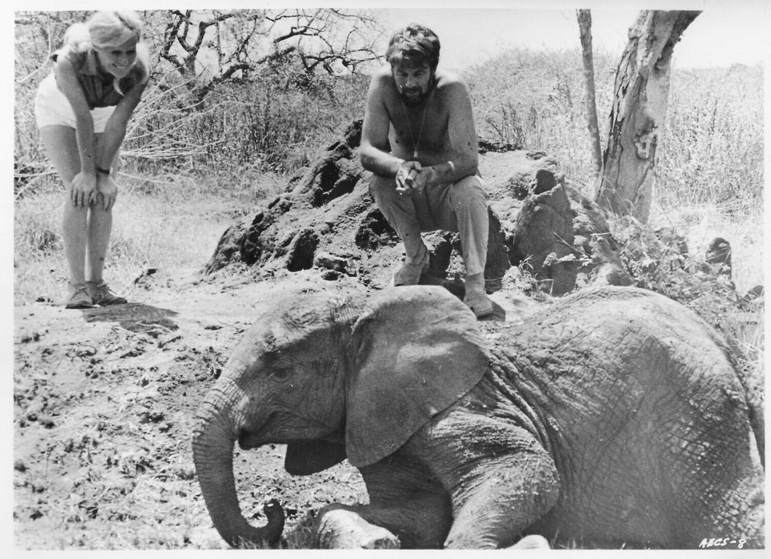 Virginia McKenna, Bill Travers