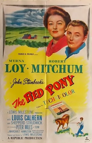 Picture of The Red Pony