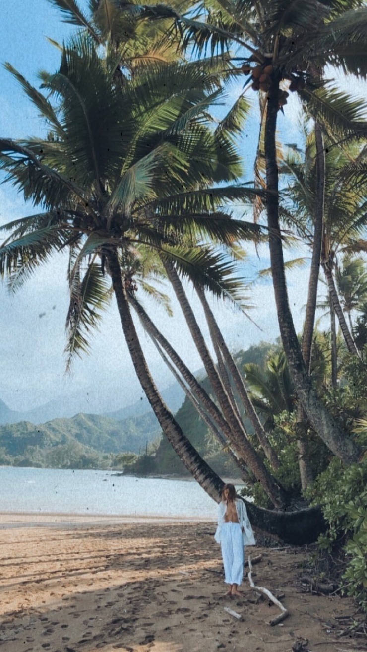 Picture of Maya Stepper