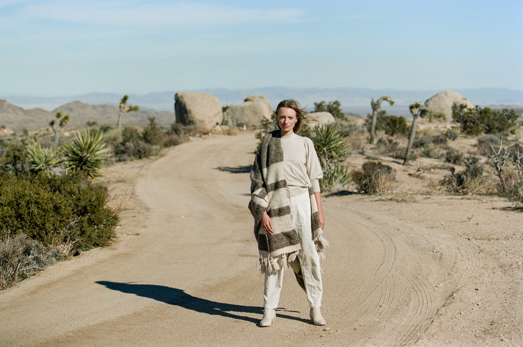 Picture of Maya Stepper