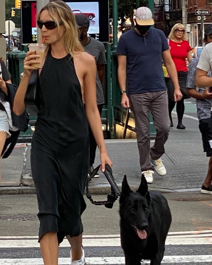 Picture of Maya Stepper