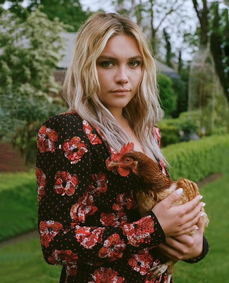 Picture of Florence Pugh