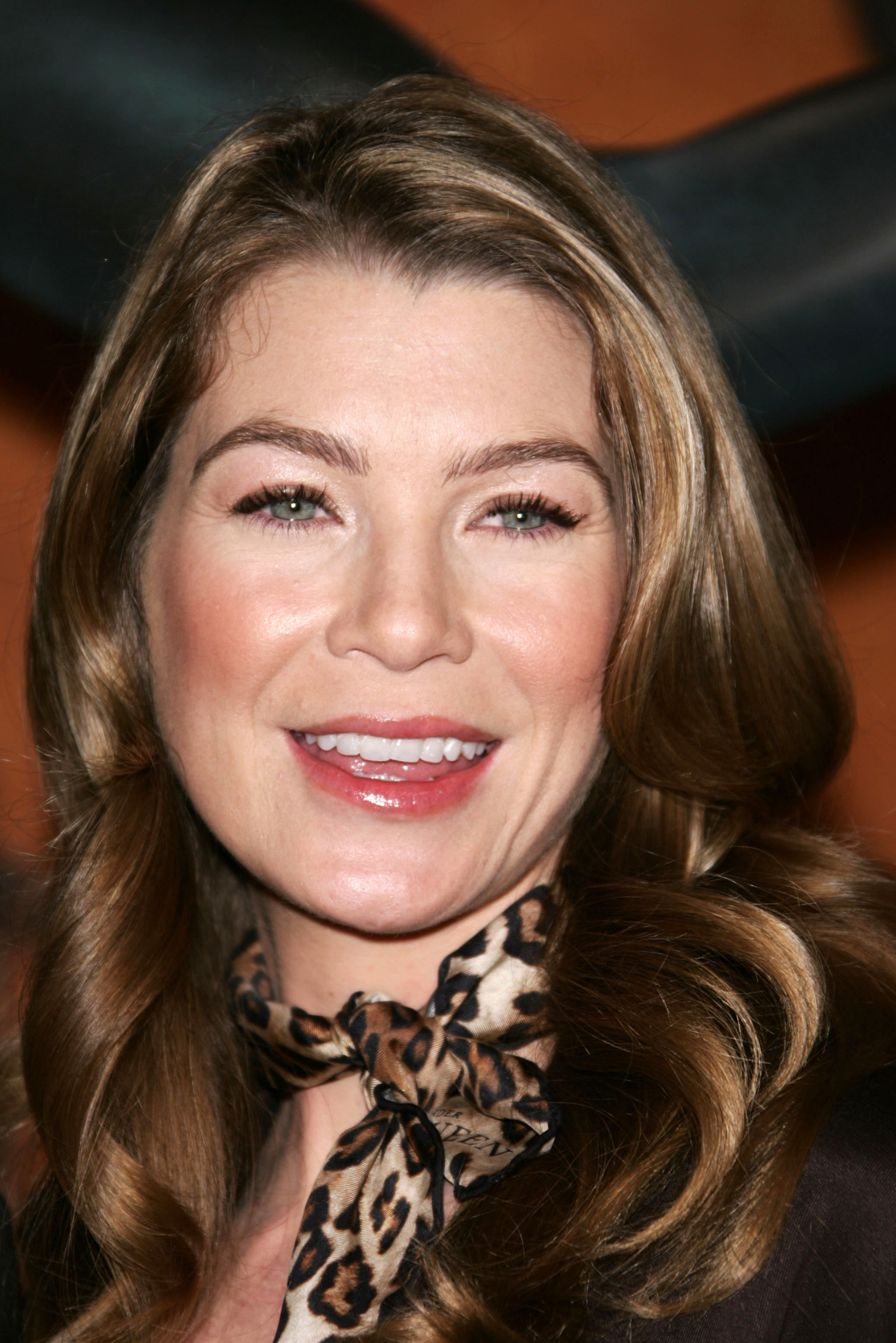 Picture of Ellen Pompeo