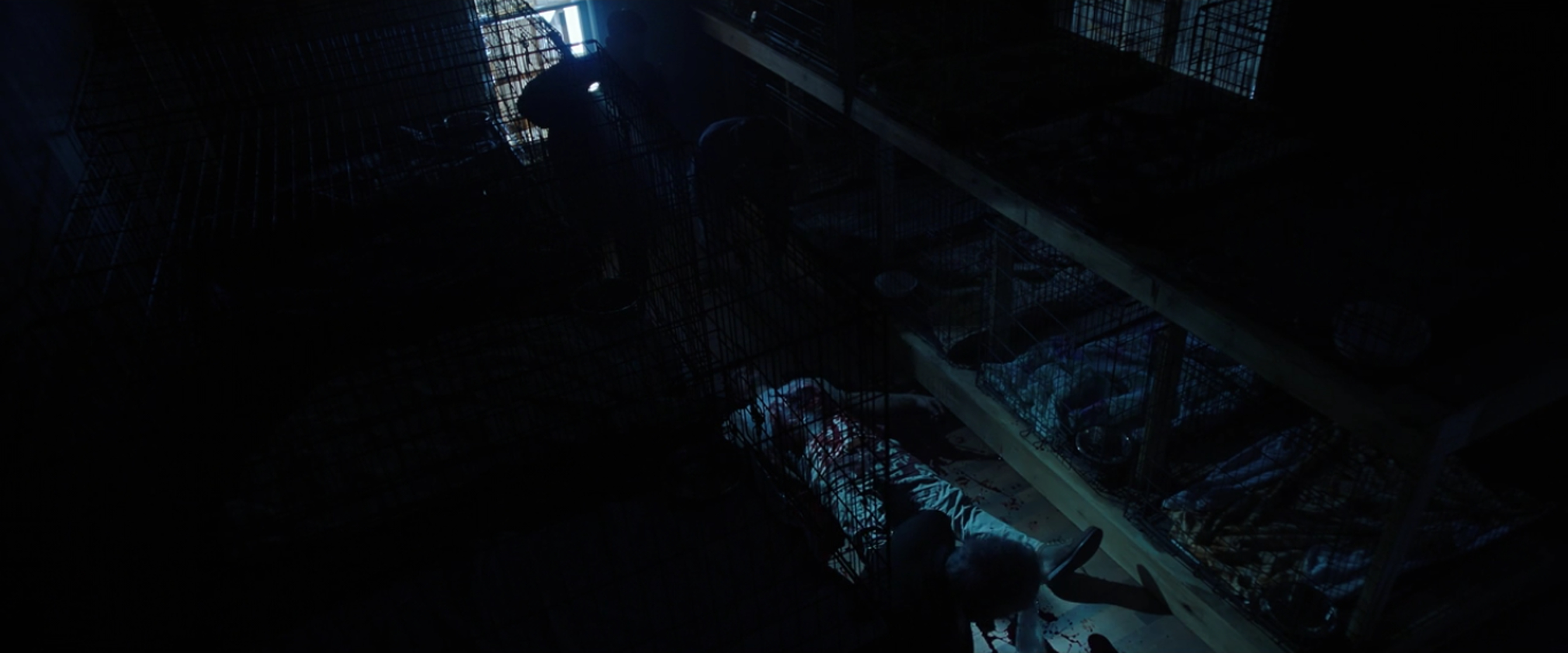 Picture of The Conjuring: The Devil Made Me Do It