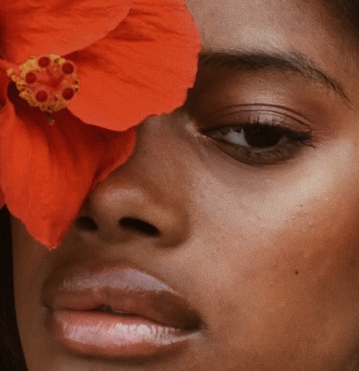 Picture of Delmi Vieira