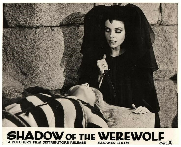 The Werewolf vs. the Vampire Woman (aka Werewolf Shadow) picture
