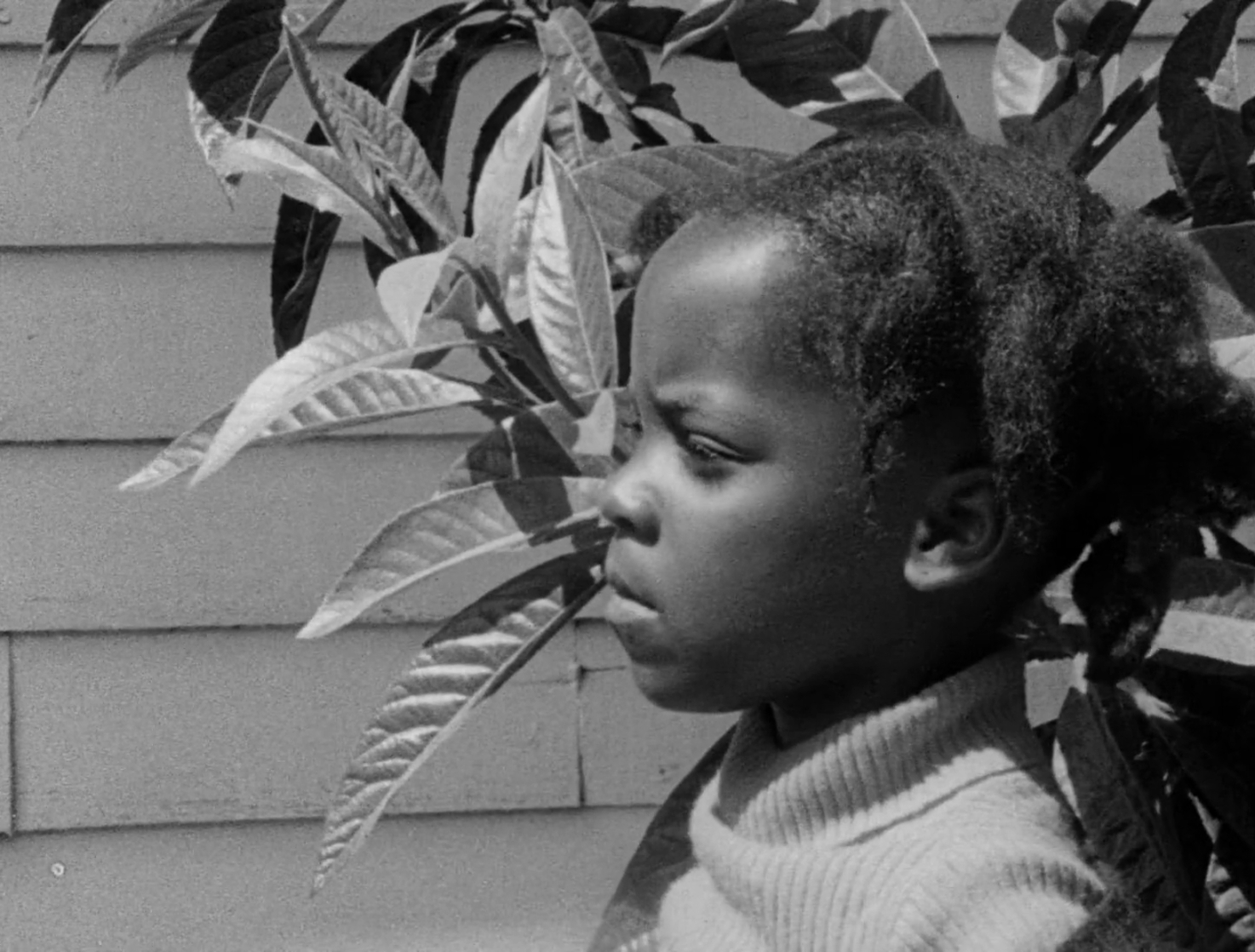 Picture of Killer of Sheep