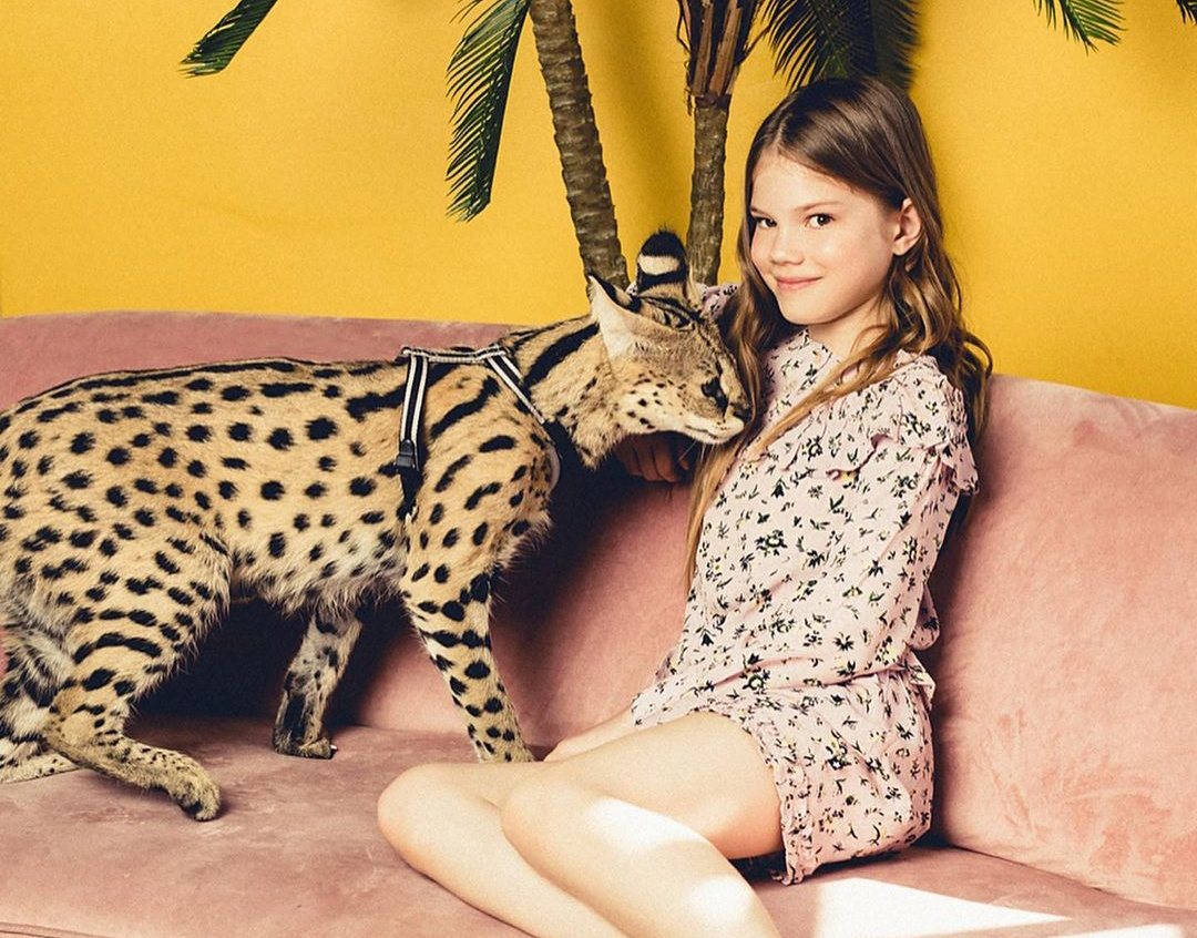 Image of Karina Kashirskaya