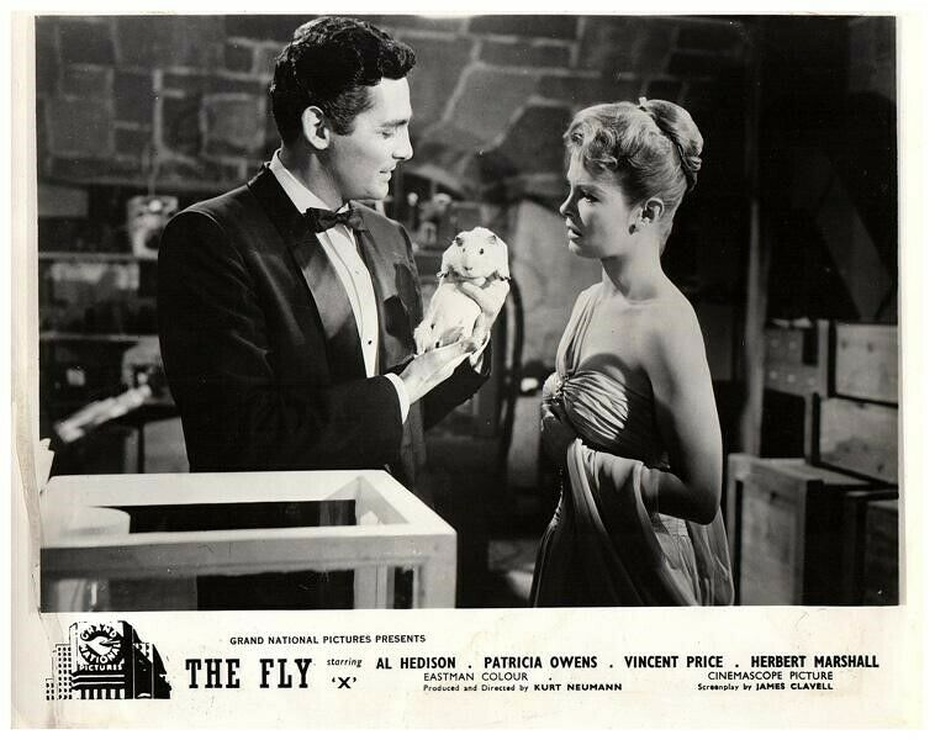Picture of The Fly (1958)