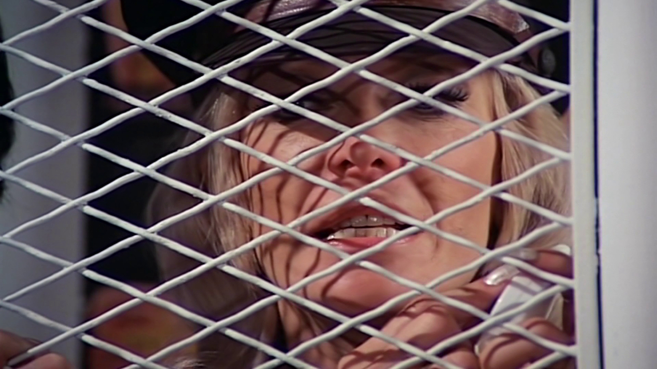 Picture of Dyanne Thorne