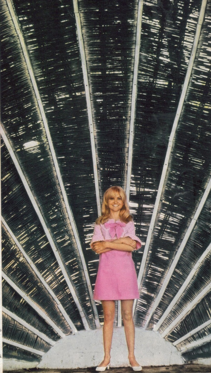 Image of Katty Line