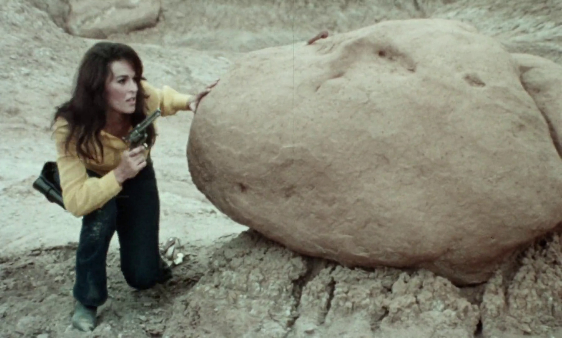 Picture of The Female Bunch