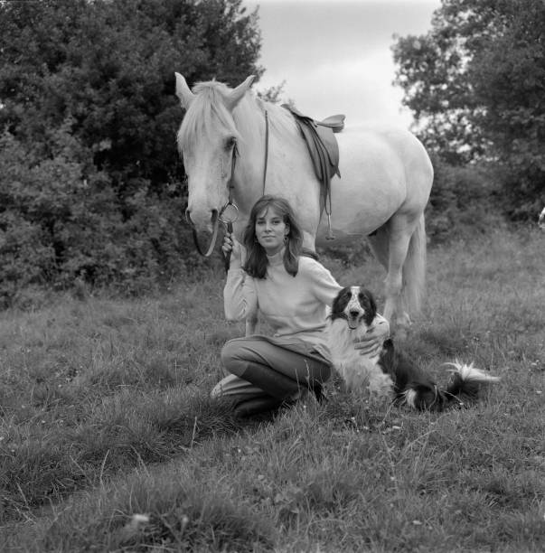 Picture of Jane Merrow