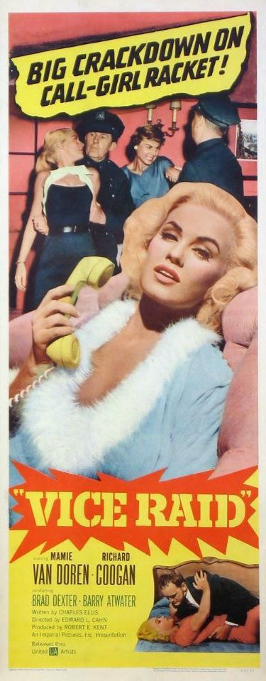 Picture of Vice Raid