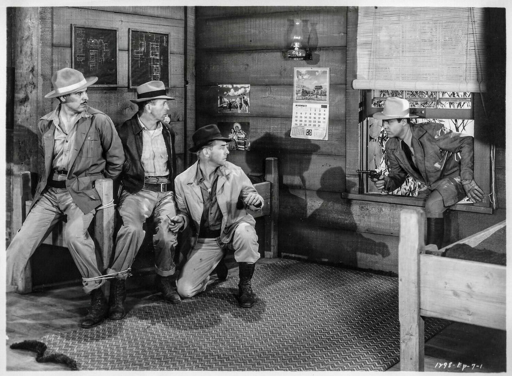 Picture of The Tiger Woman