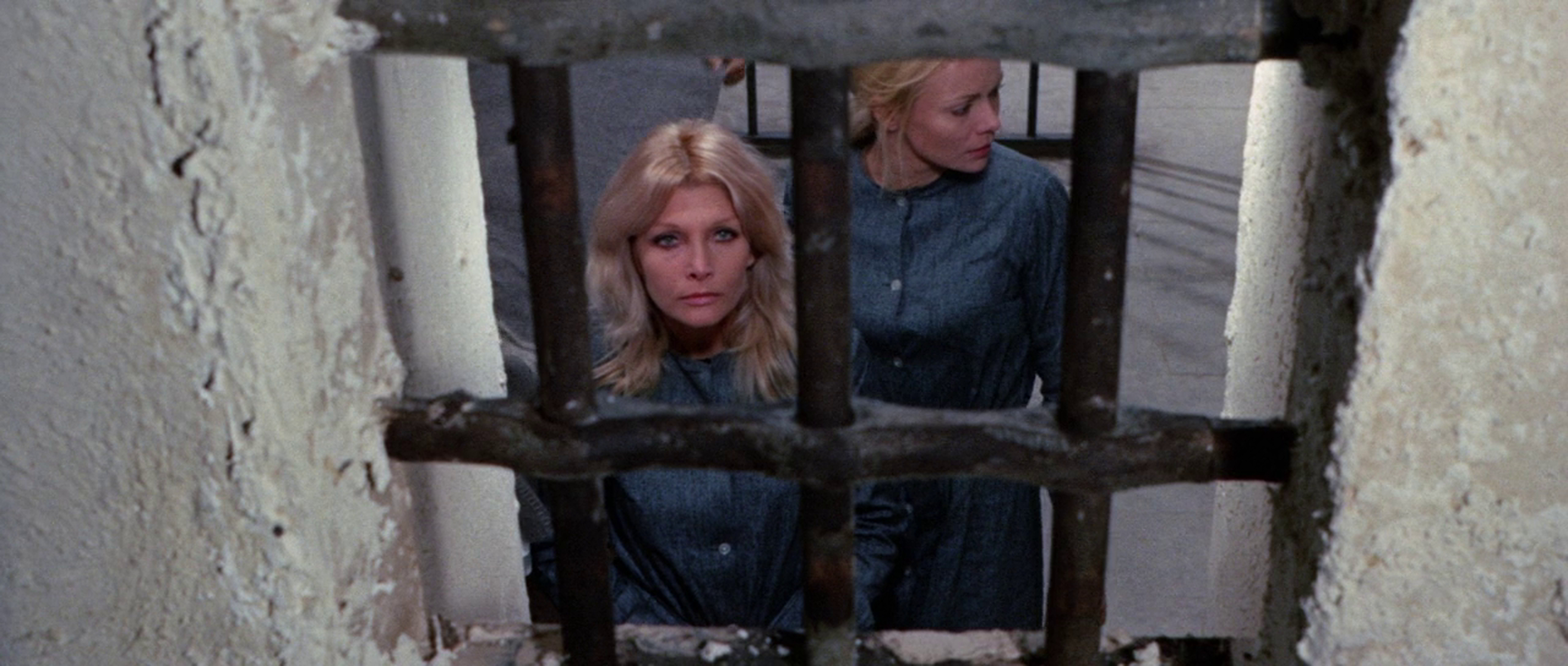 The Big Bust-Out image